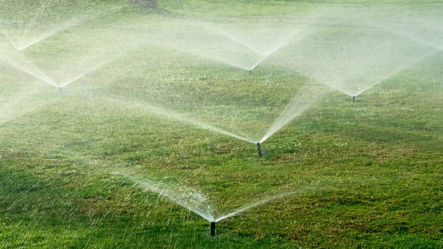 Installer un arrosage automatique : Guide - iwh.fr